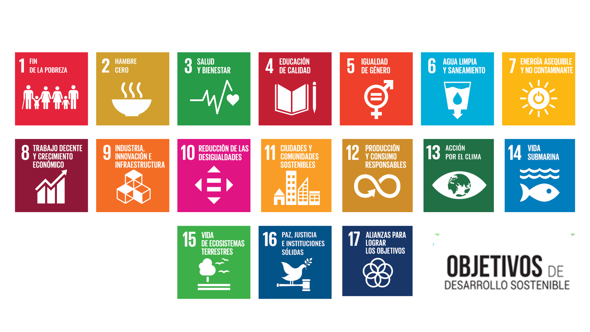 ¿Quiénes Somos? - Smart Planet